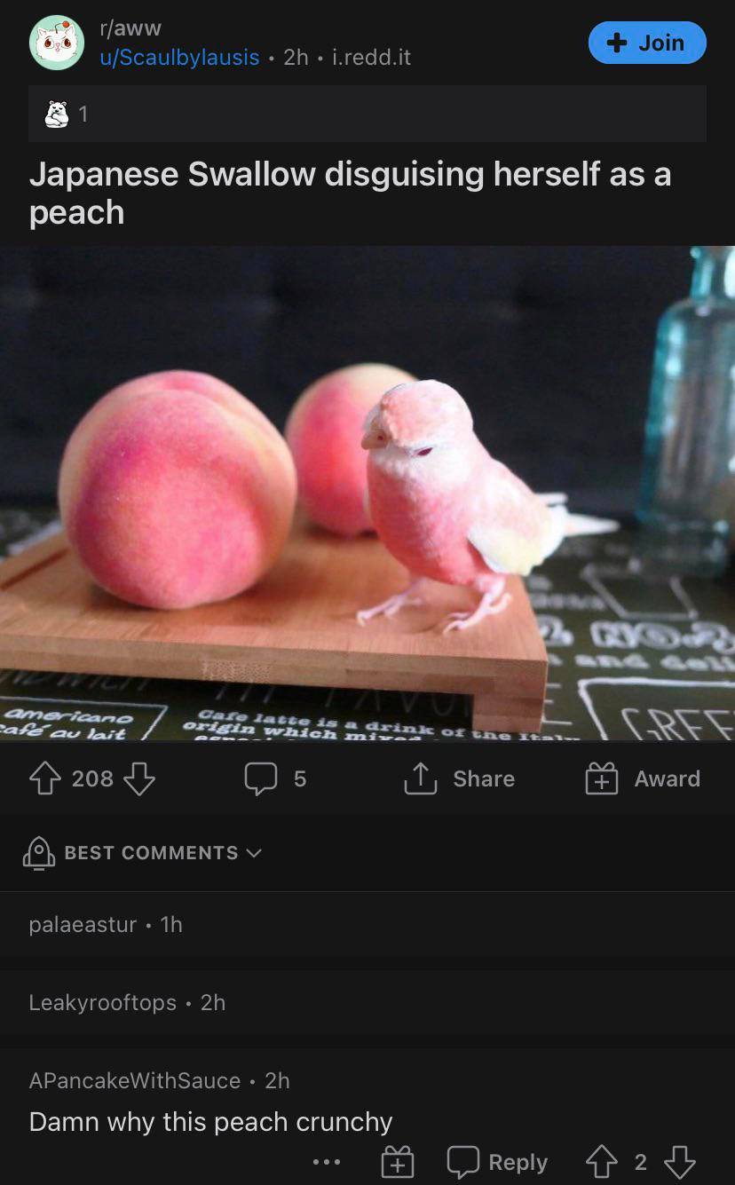 Cursed_Peach Crunch | Scrolller