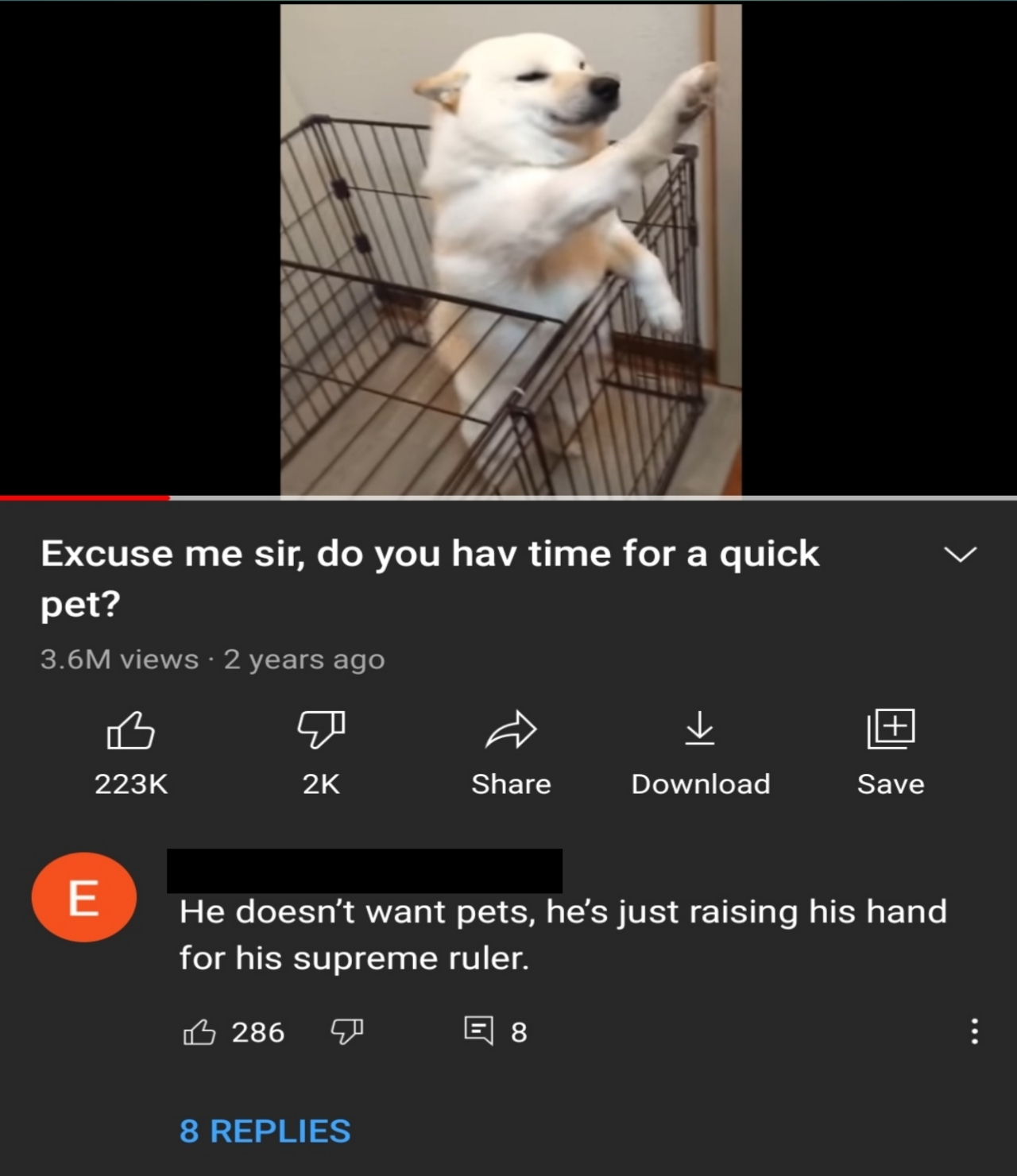 cursed_shibe | Scrolller