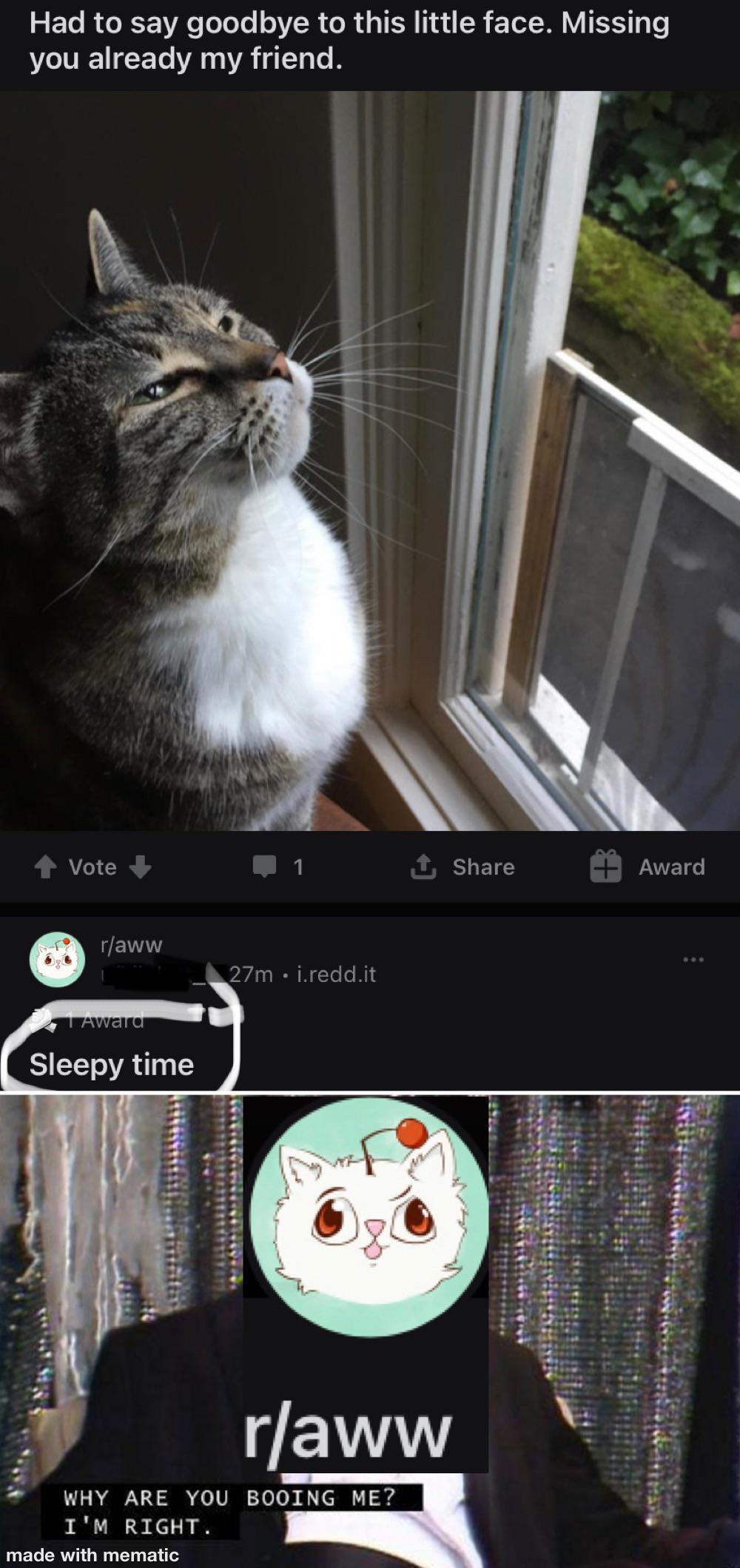 Cursed_sleepy time | Scrolller