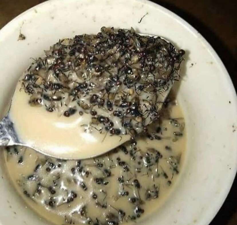 Cursed_soup | Scrolller