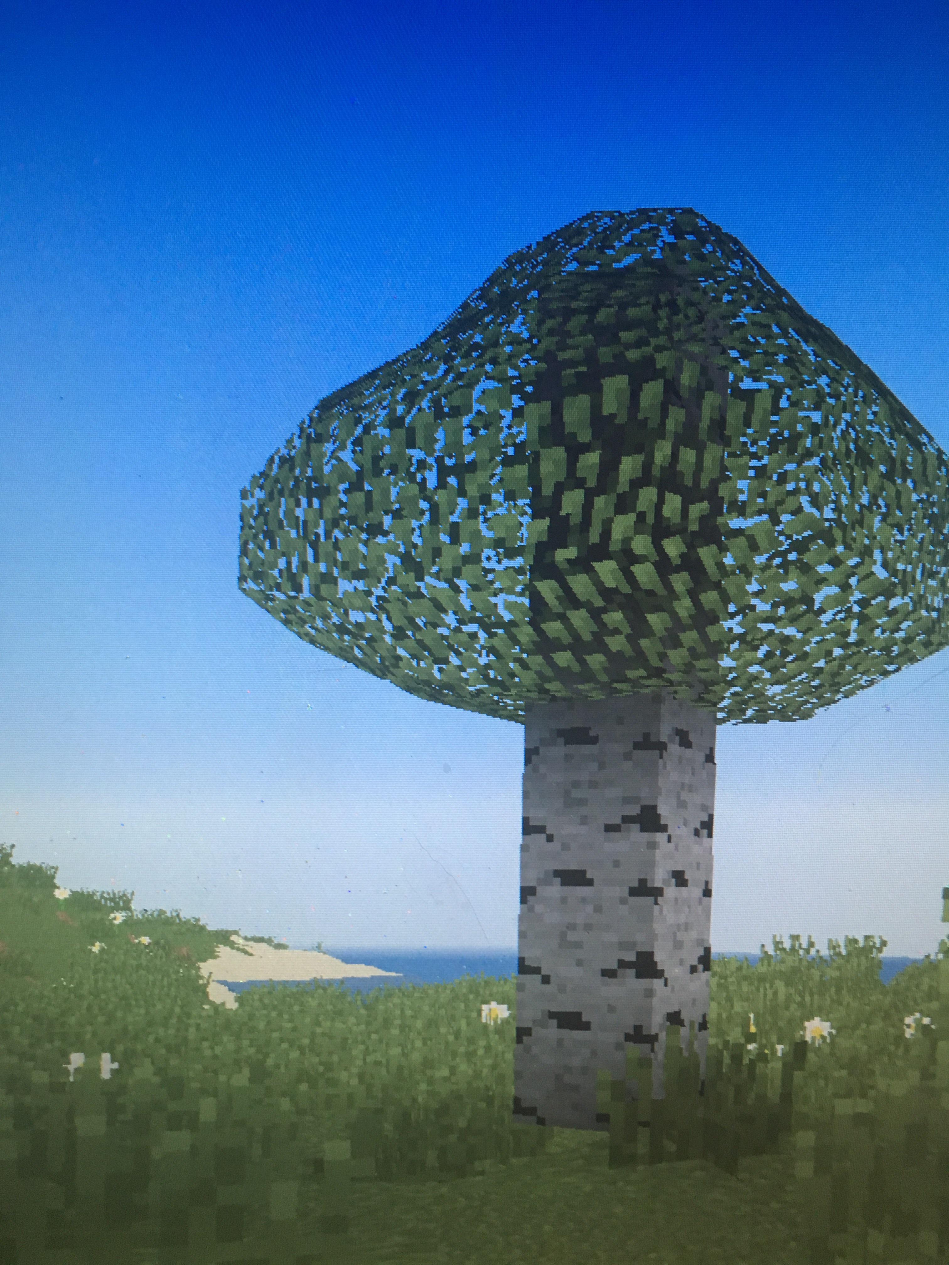 Cursed_Tree | Scrolller