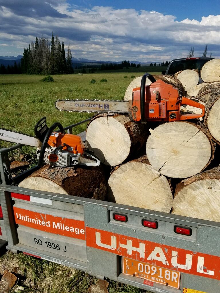 Cut 1.5 cords at 10k feet last weekend. | Scrolller