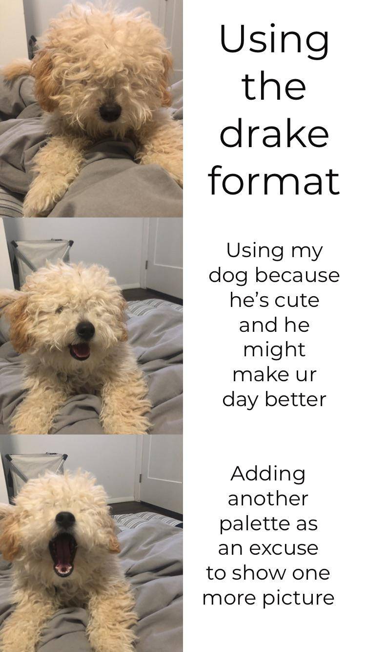 Cute doggo | Scrolller