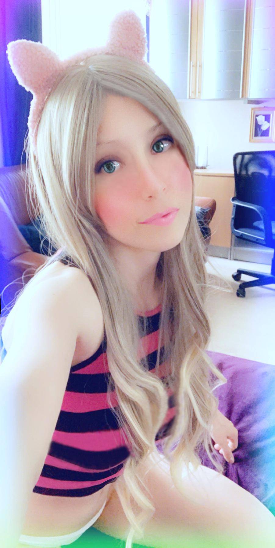 Cute Kitten 🌺 | Scrolller