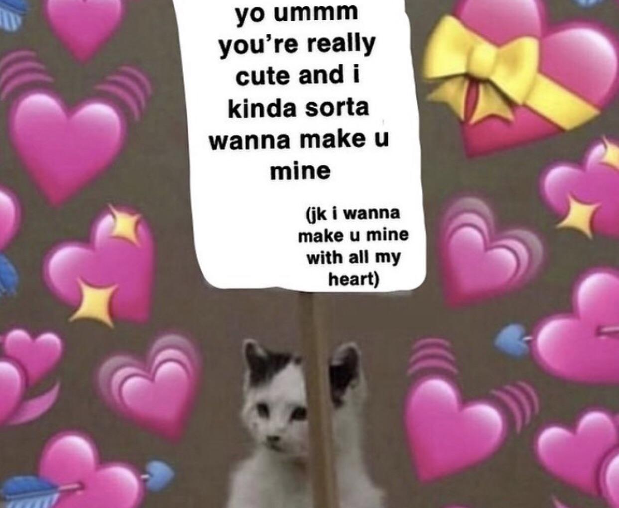 Cute meme | Scrolller