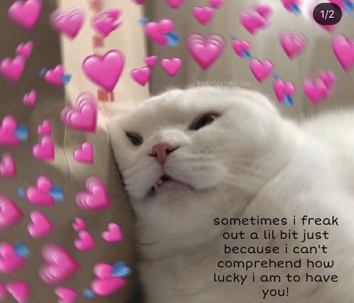 Cute meme | Scrolller