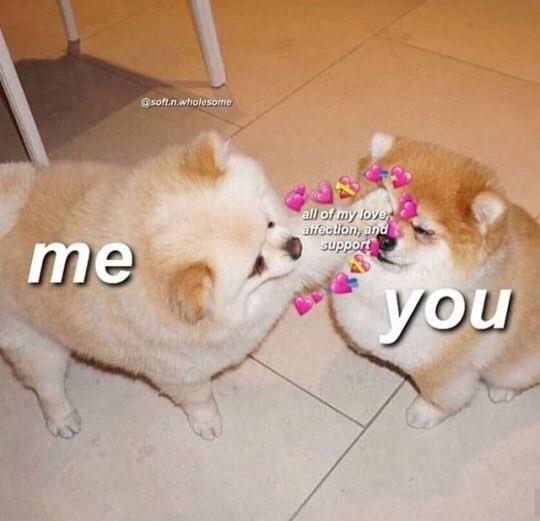 Cute memes | Scrolller