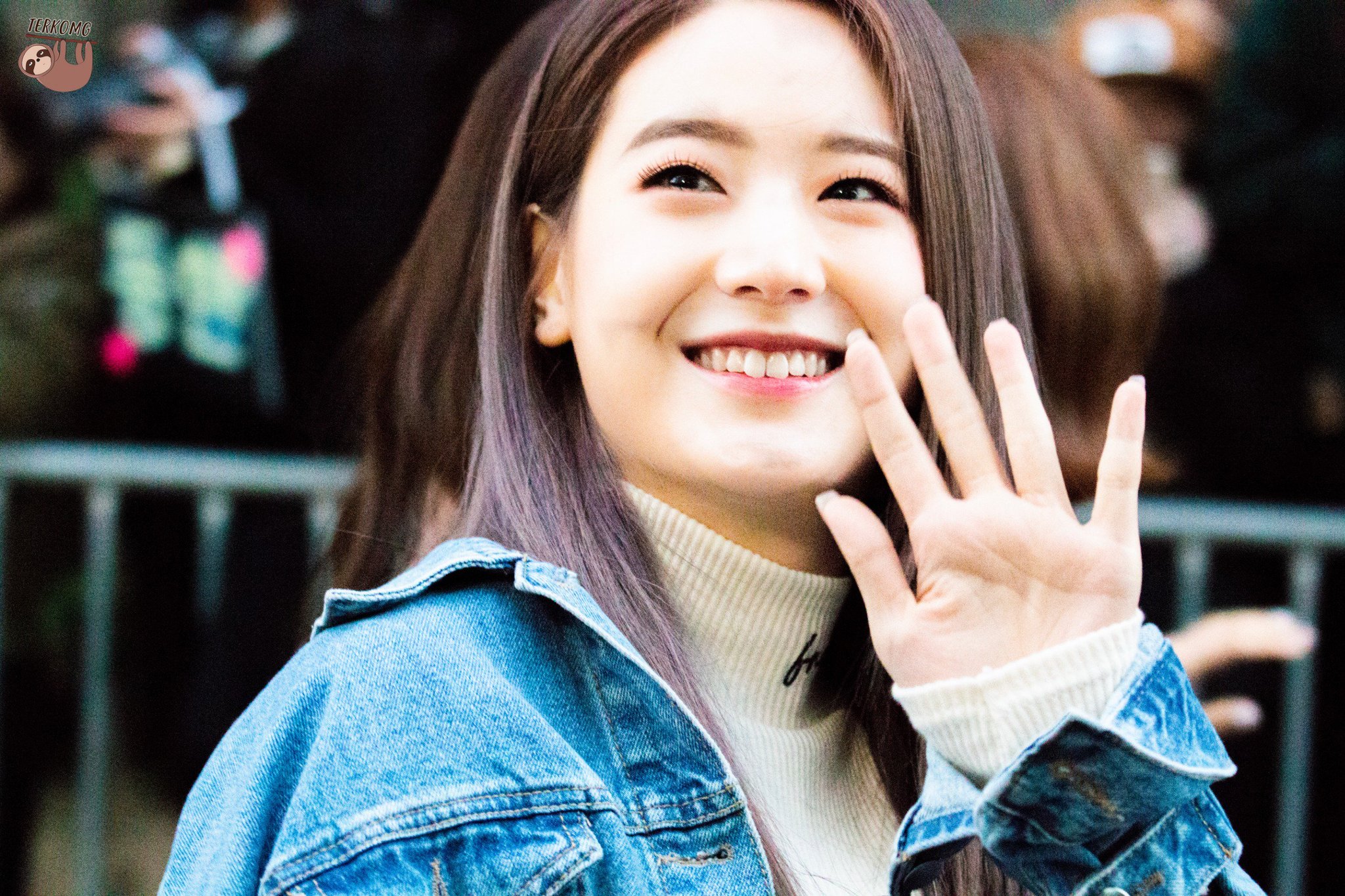 Cute puppy waves hi | Scrolller