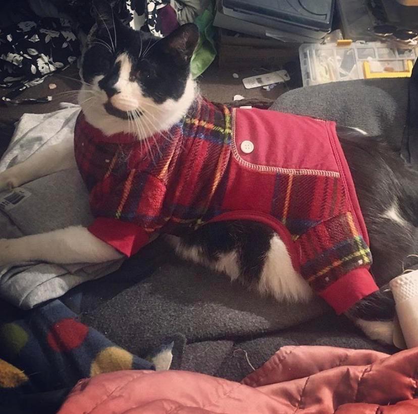 D-do long johns count? | Scrolller