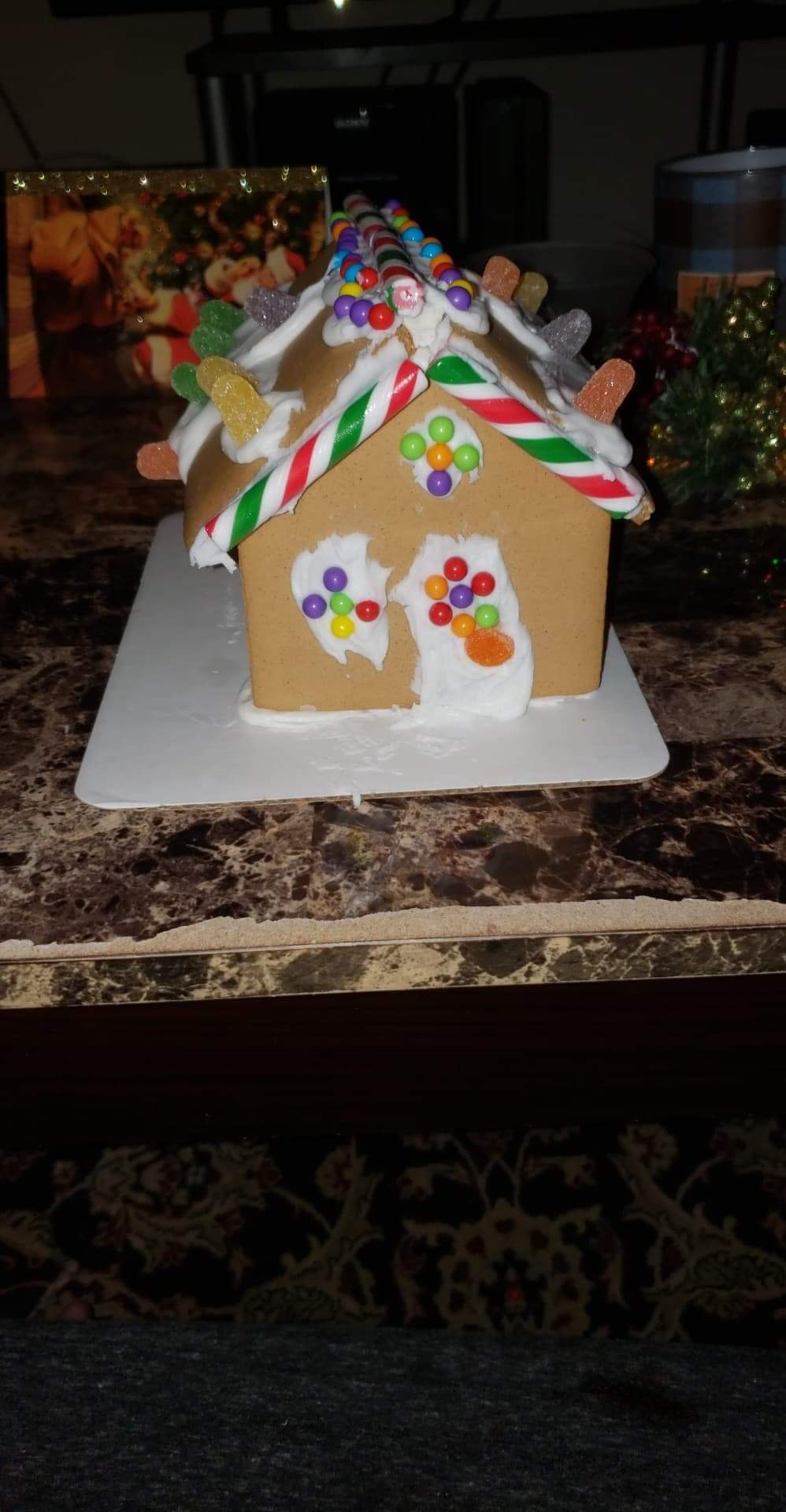 Daddy and I made a gingerbread house after dinner | Scrolller