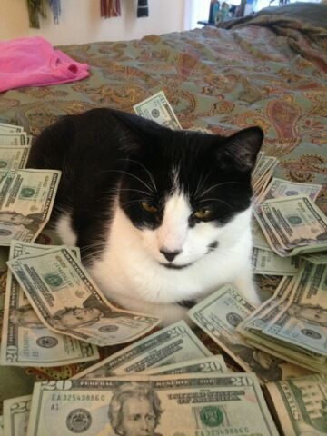 Daddy fat cat stacks | Scrolller
