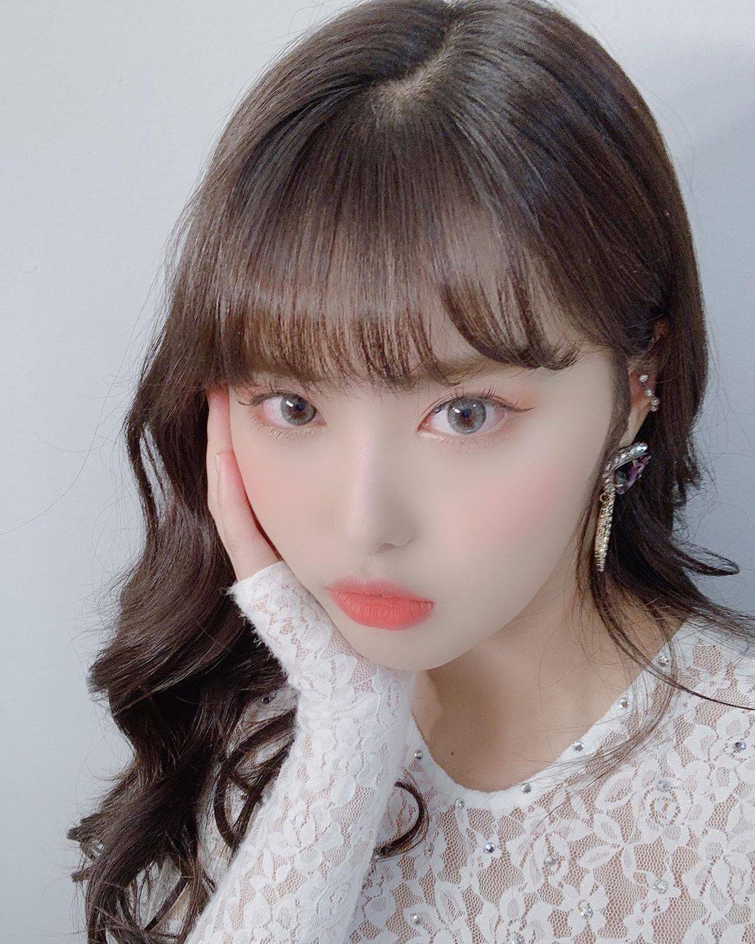 Daily Ahin #187 | Scrolller