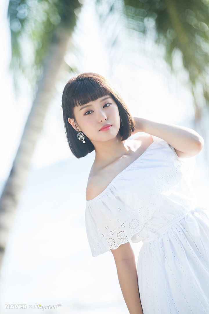 Daily Ahin #23 | Scrolller