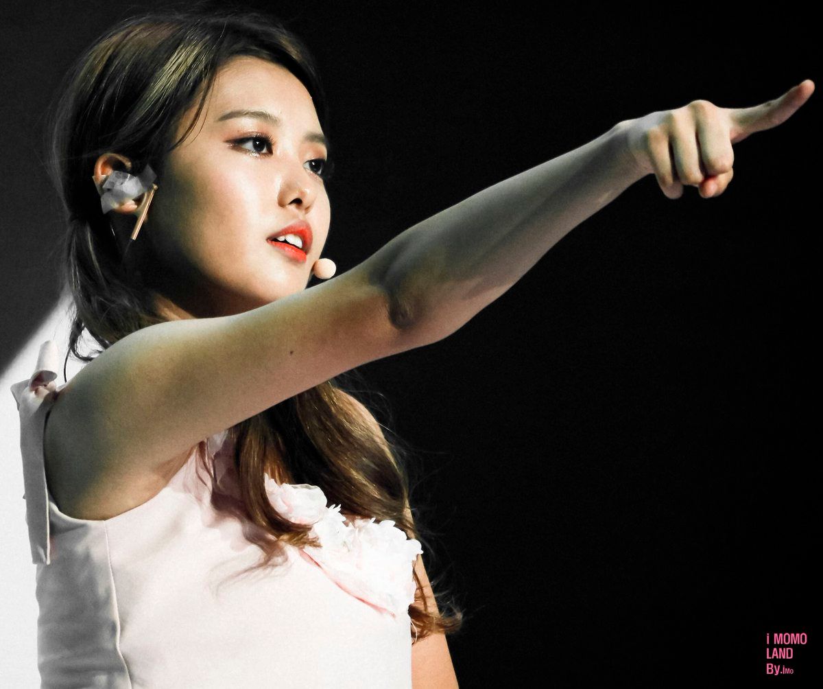 Daily Ahin #72 | Scrolller