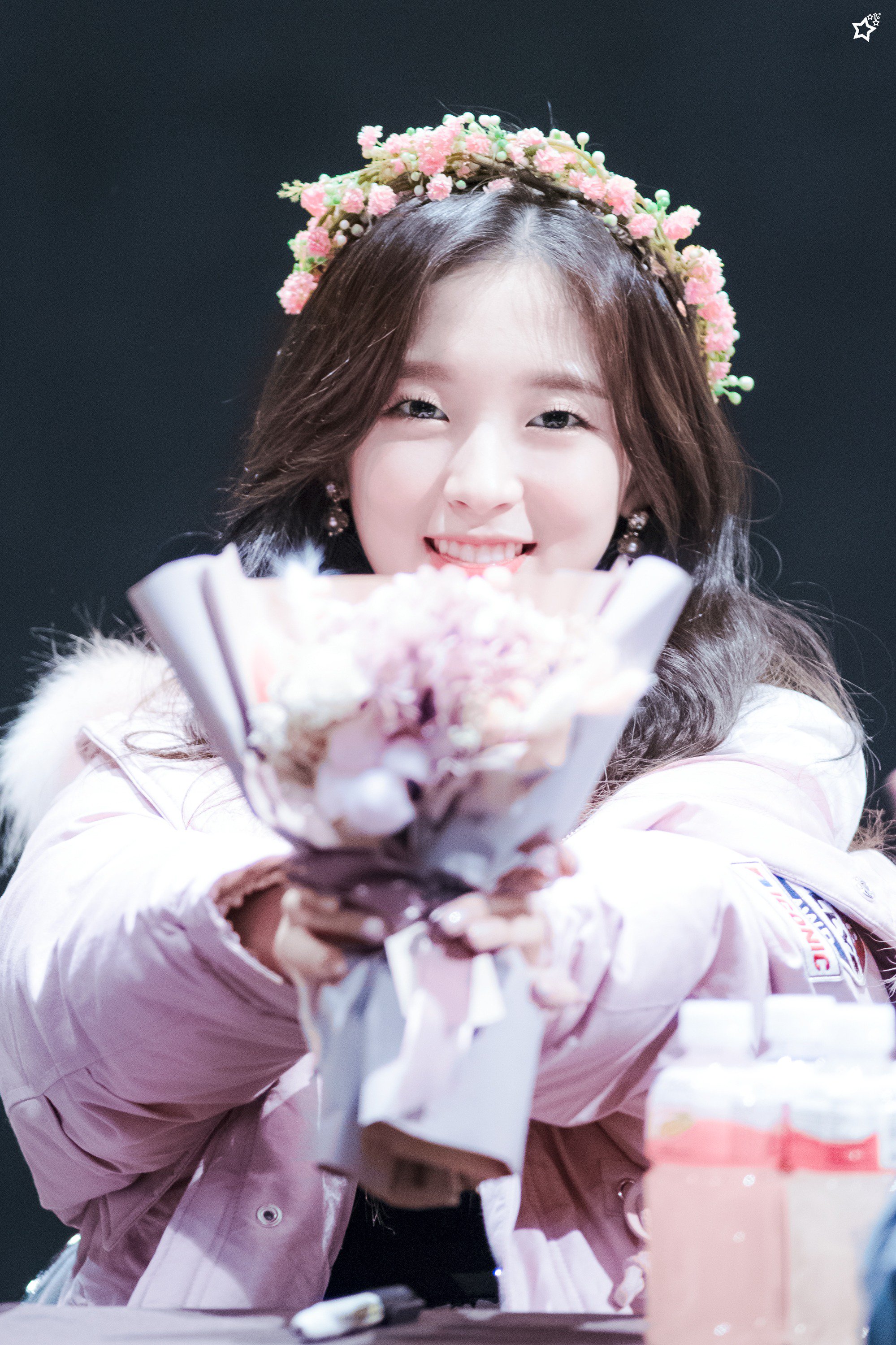 Daily Arin #41 | Scrolller