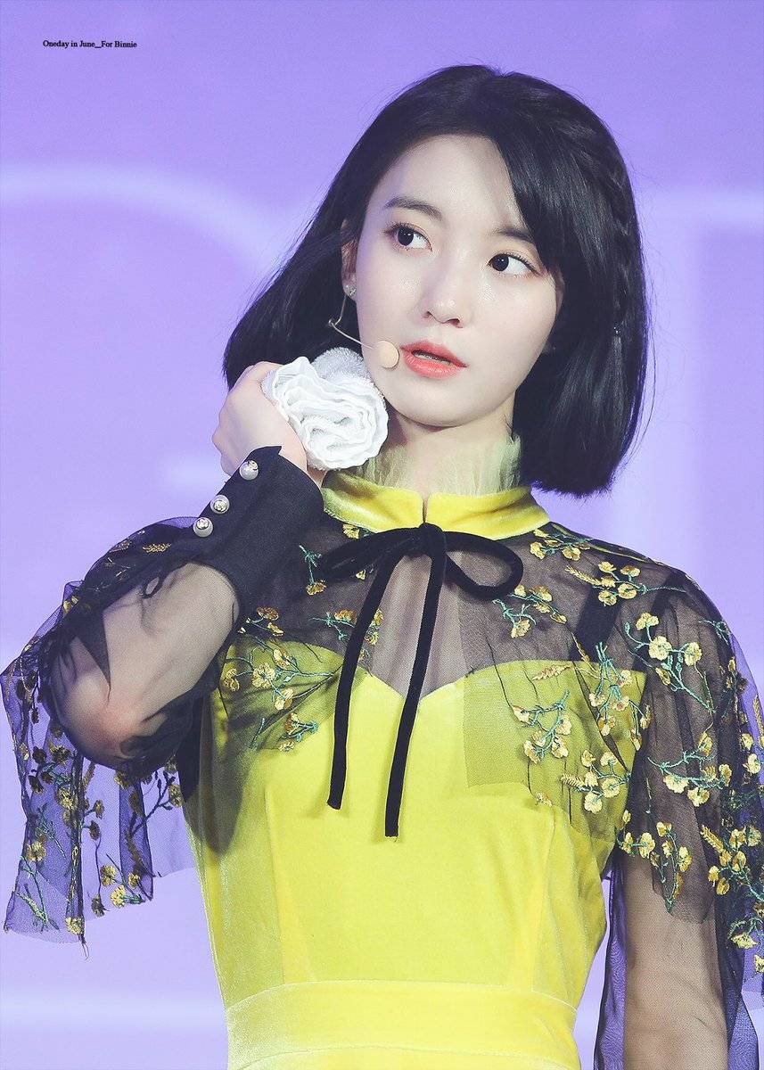 Daily Binnie #328 | Scrolller