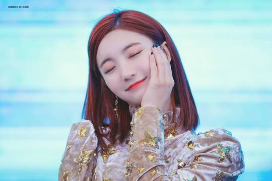 Daily Binnie #442 | Scrolller