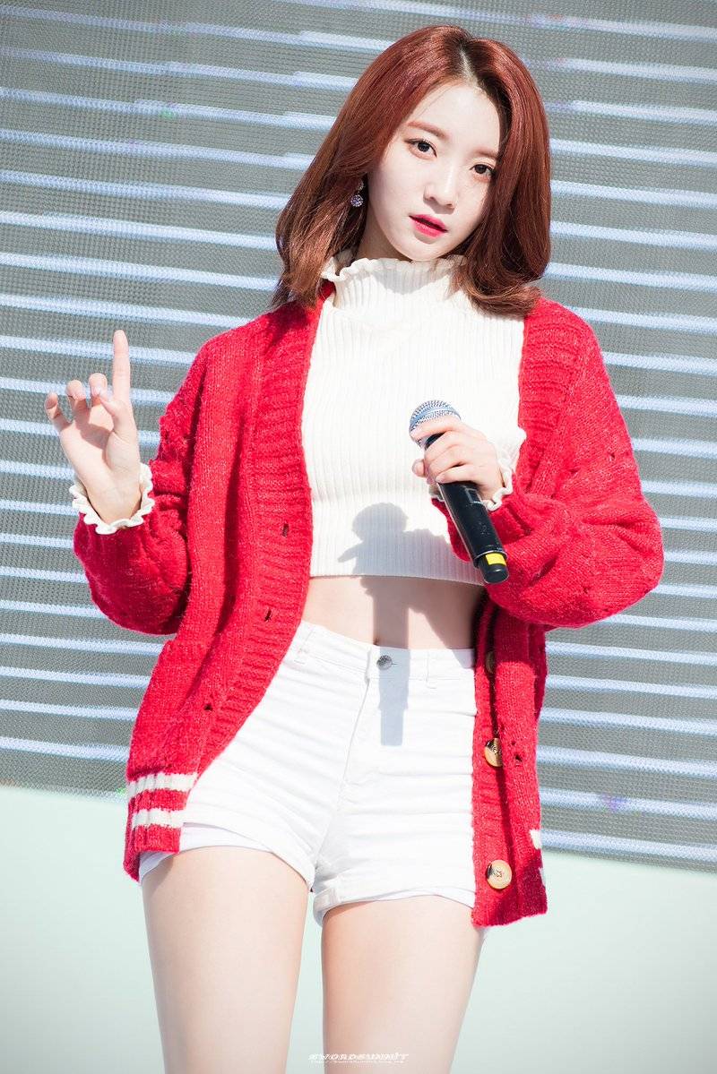 Daily Binnie #466 | Scrolller