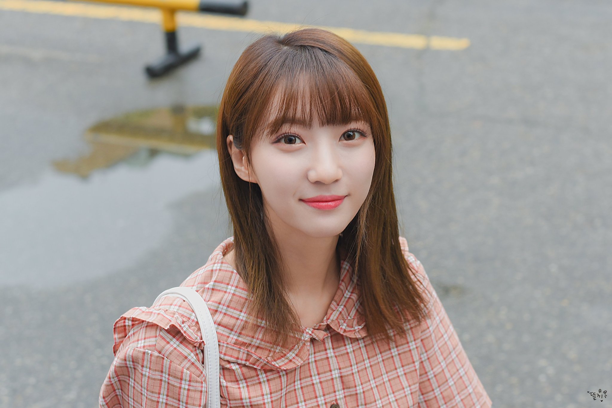 Daily Binnie 742 Scrolller