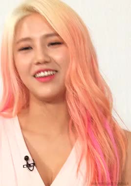 Daily Dong #40 | Scrolller