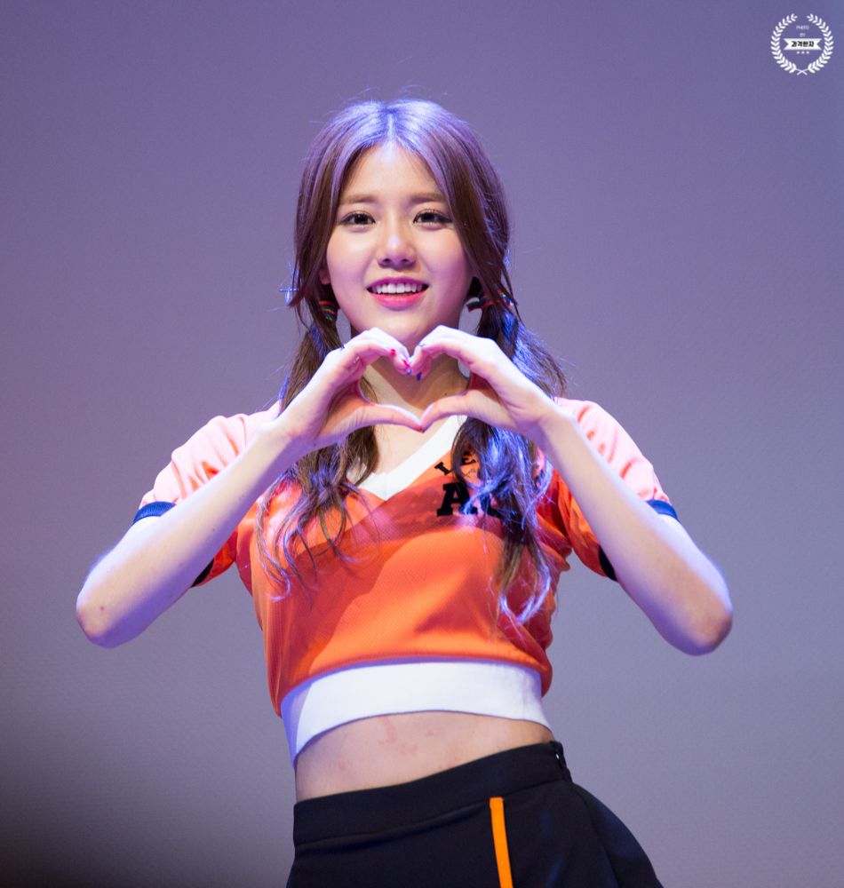 Daily Dong #497 | Scrolller