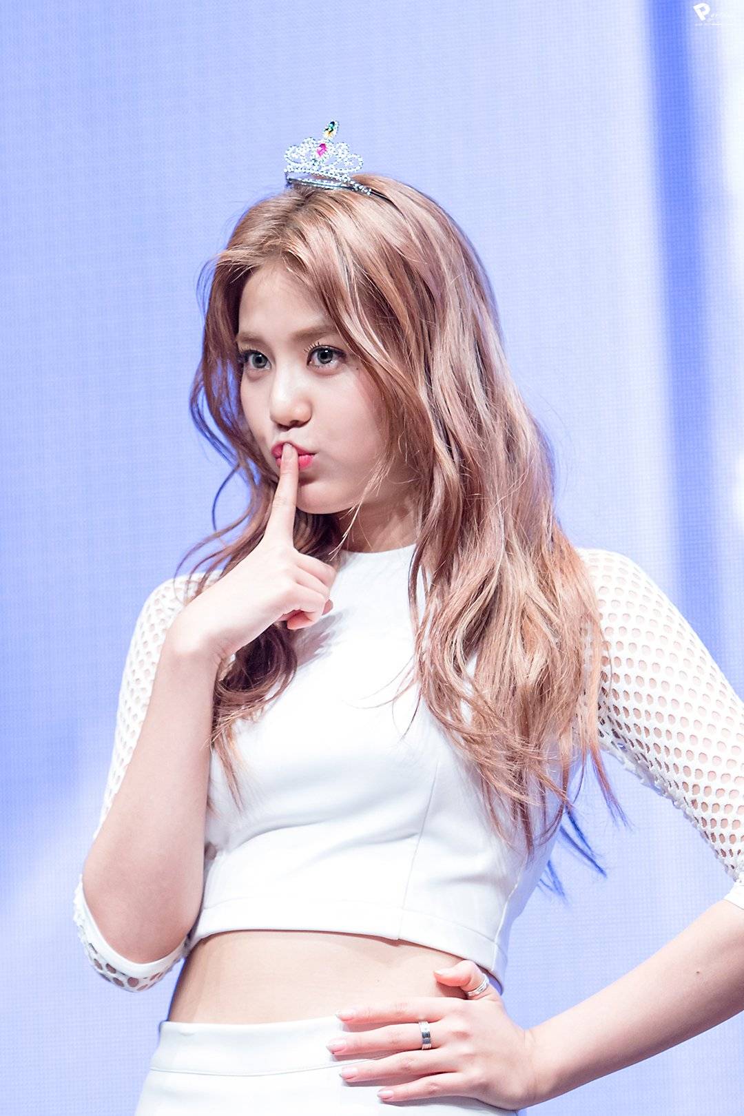 Daily Dong #568 | Scrolller
