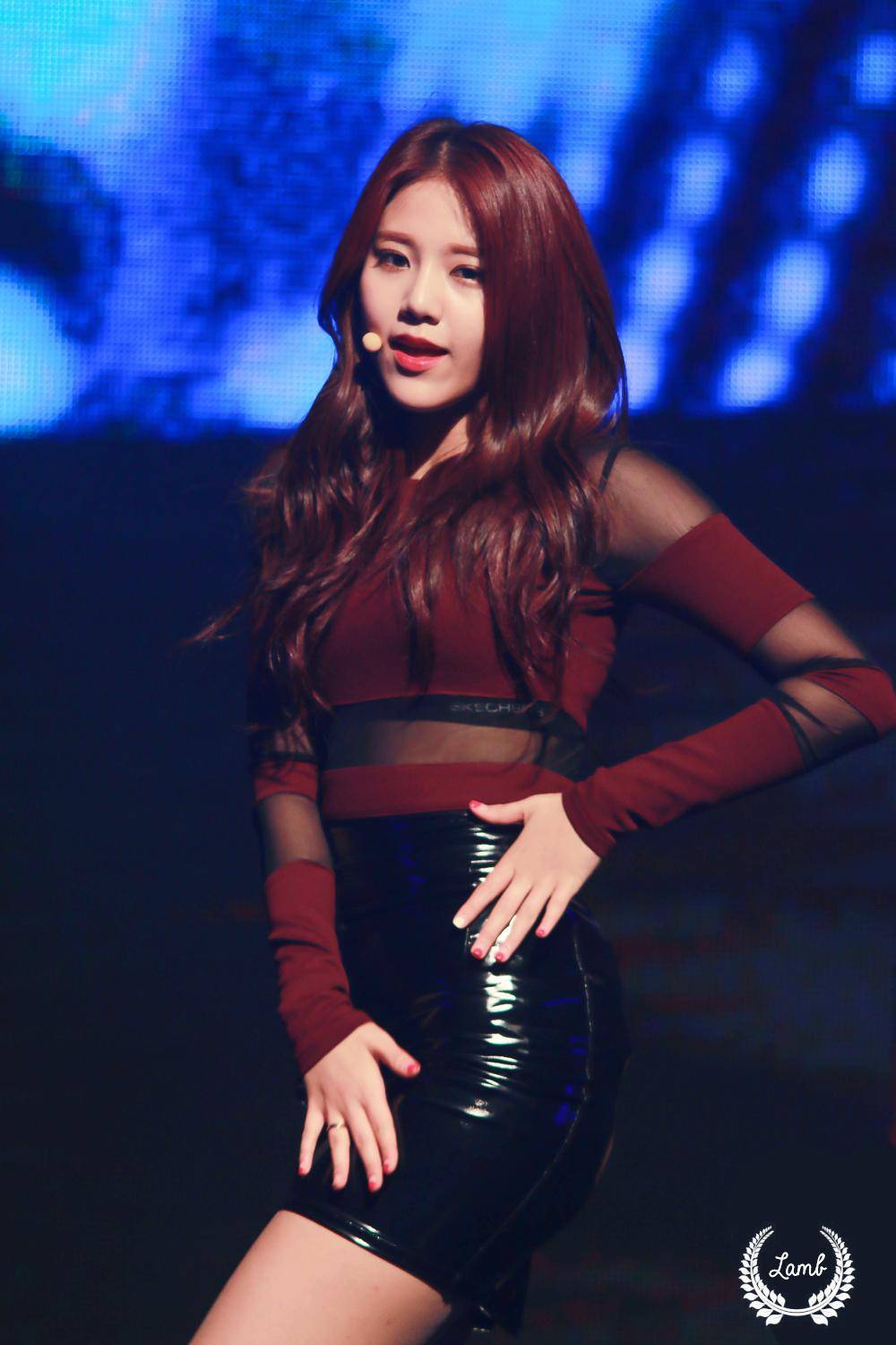 Daily Dong #600 | Scrolller