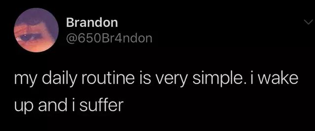 Daily routine | Scrolller