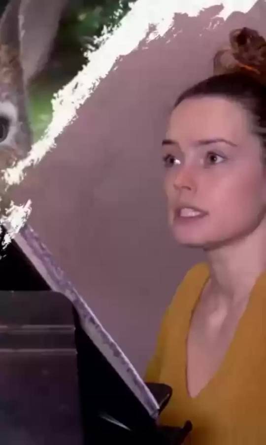 Daisy being cute for Peter Rabbit voiceover | Scrolller