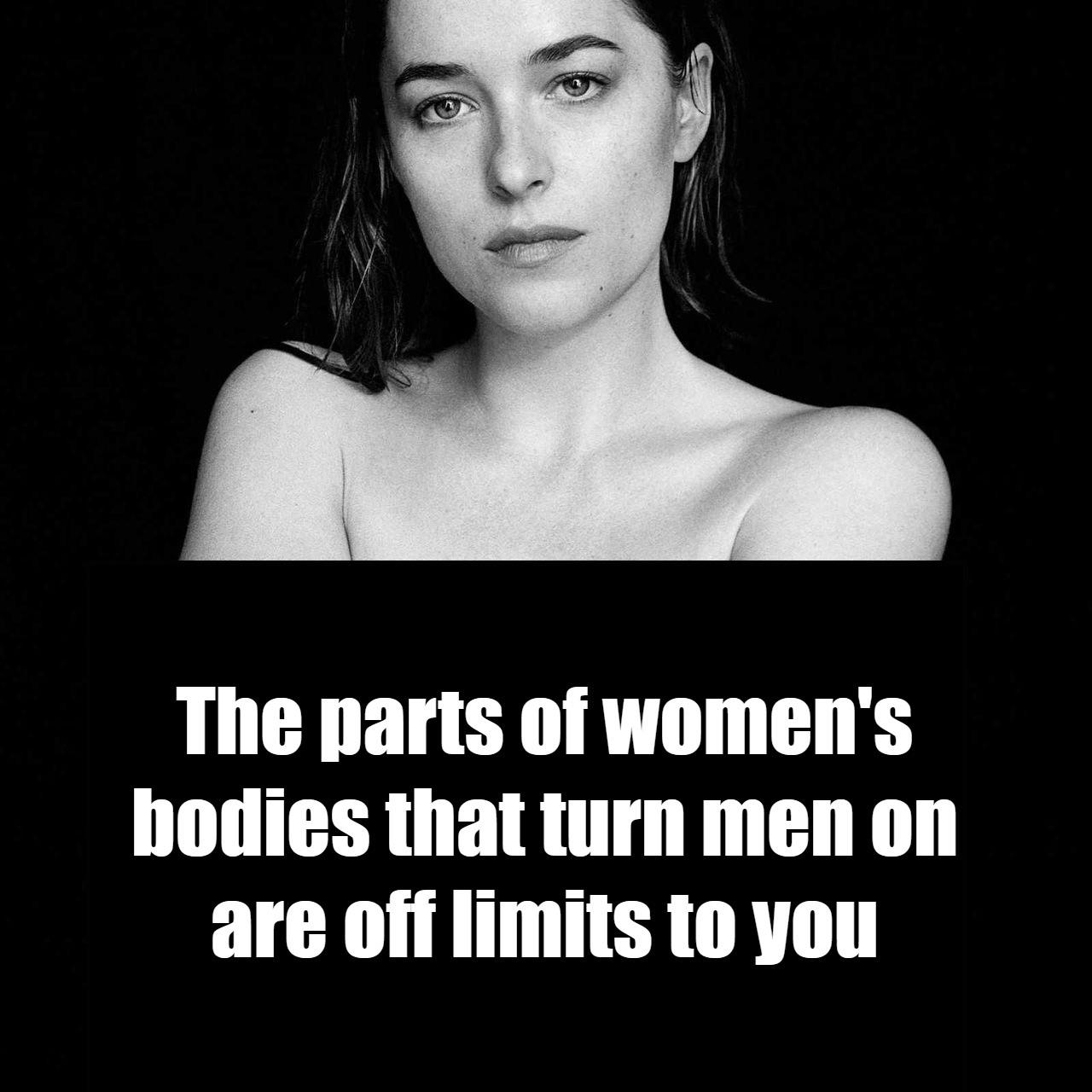 Dakota Johnson makes it simple to understand | Scrolller