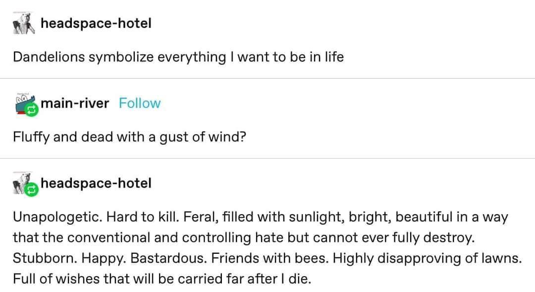 Dandelions | Scrolller