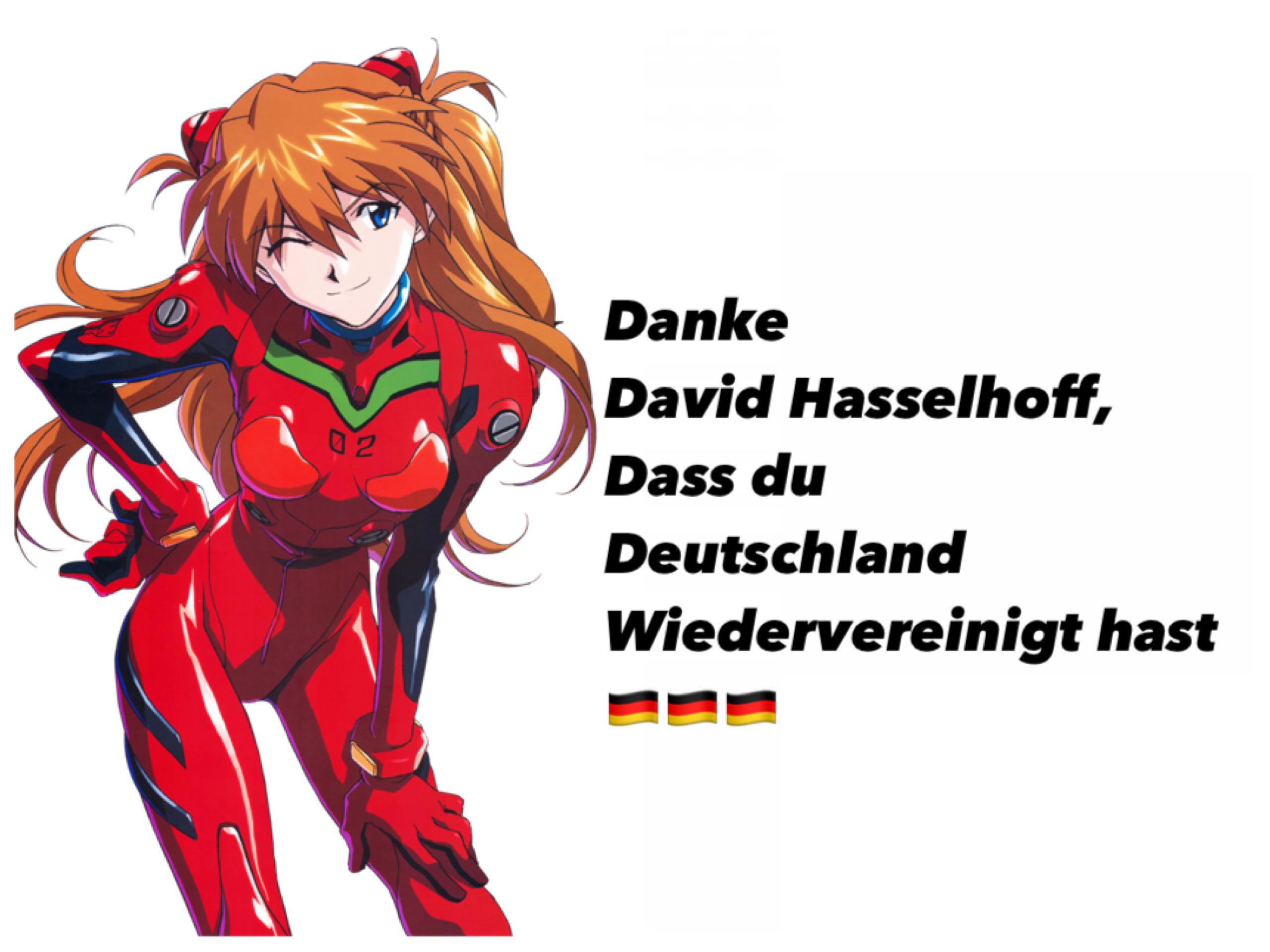 Danke Hasselhoff-Sensei! | Scrolller