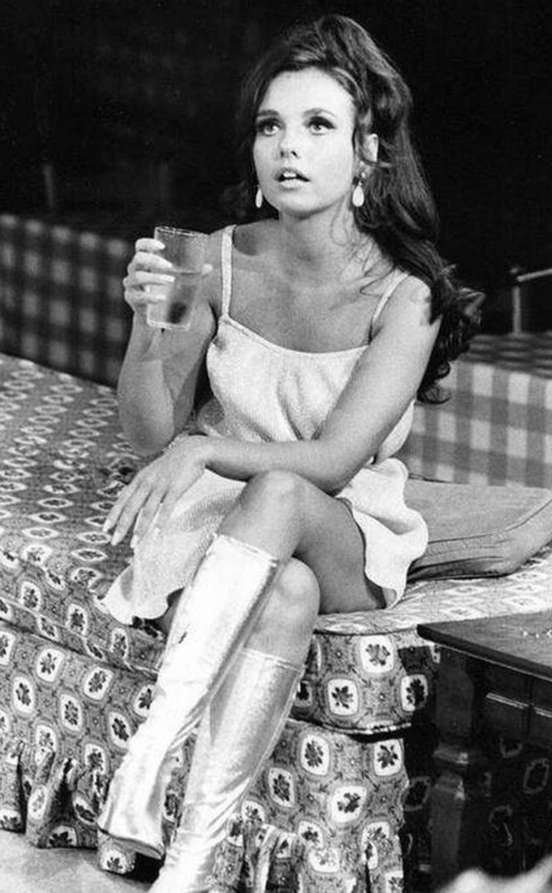 Dawn Wells (1960s) | Scrolller