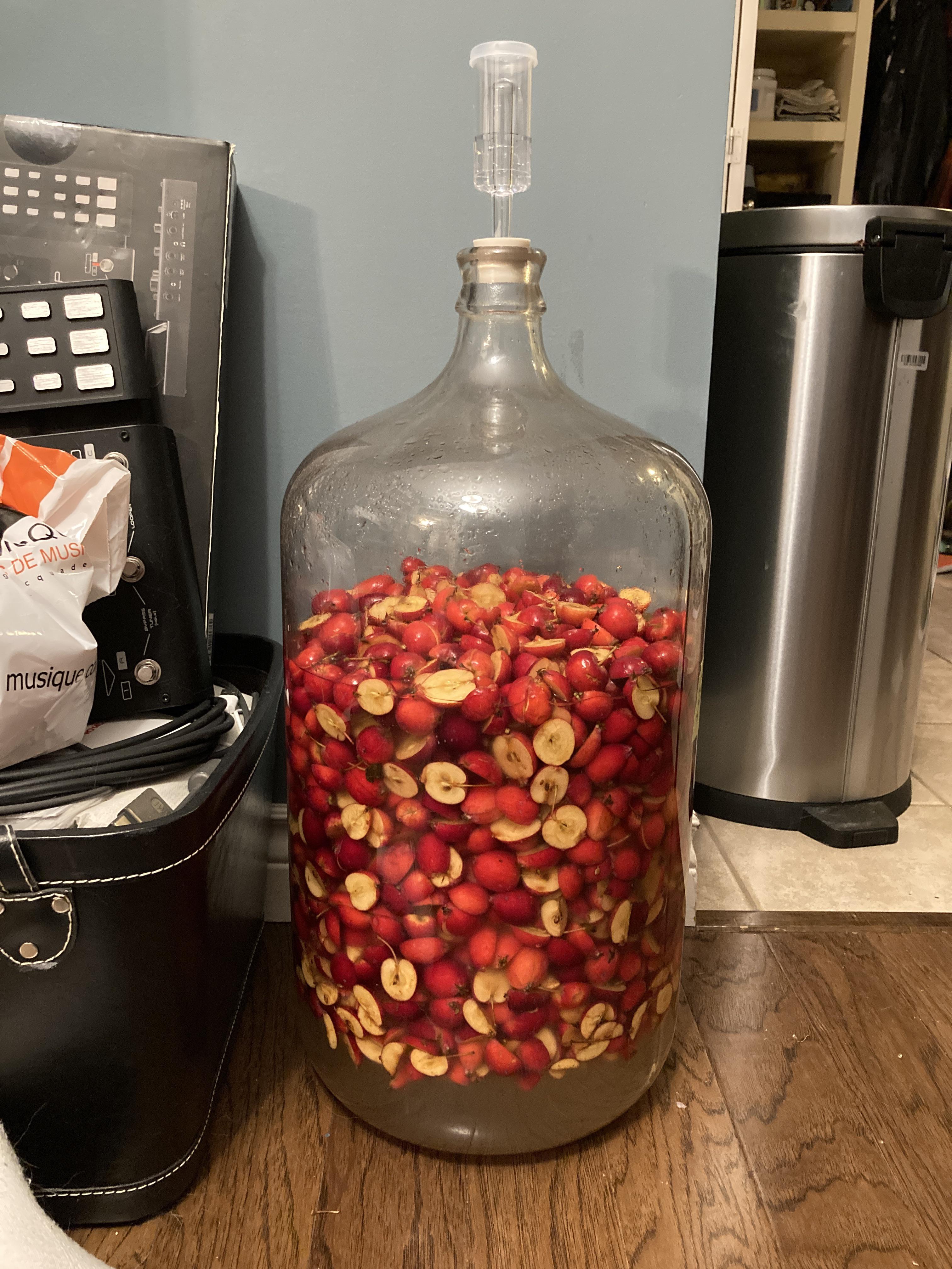 Day 1 of Crab Apple Cider Vinegar! | Scrolller