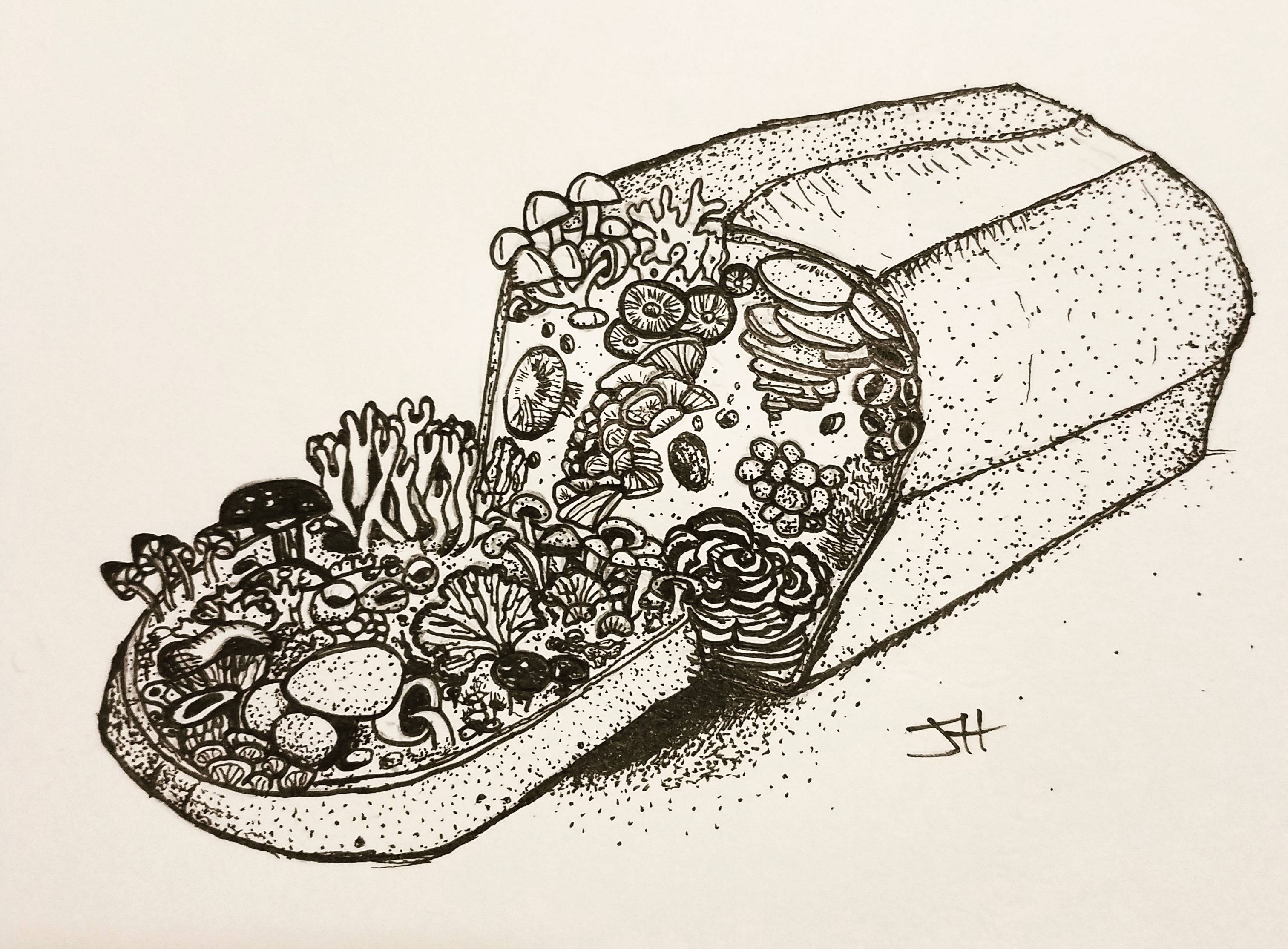 Day 14:Overgrown | Scrolller