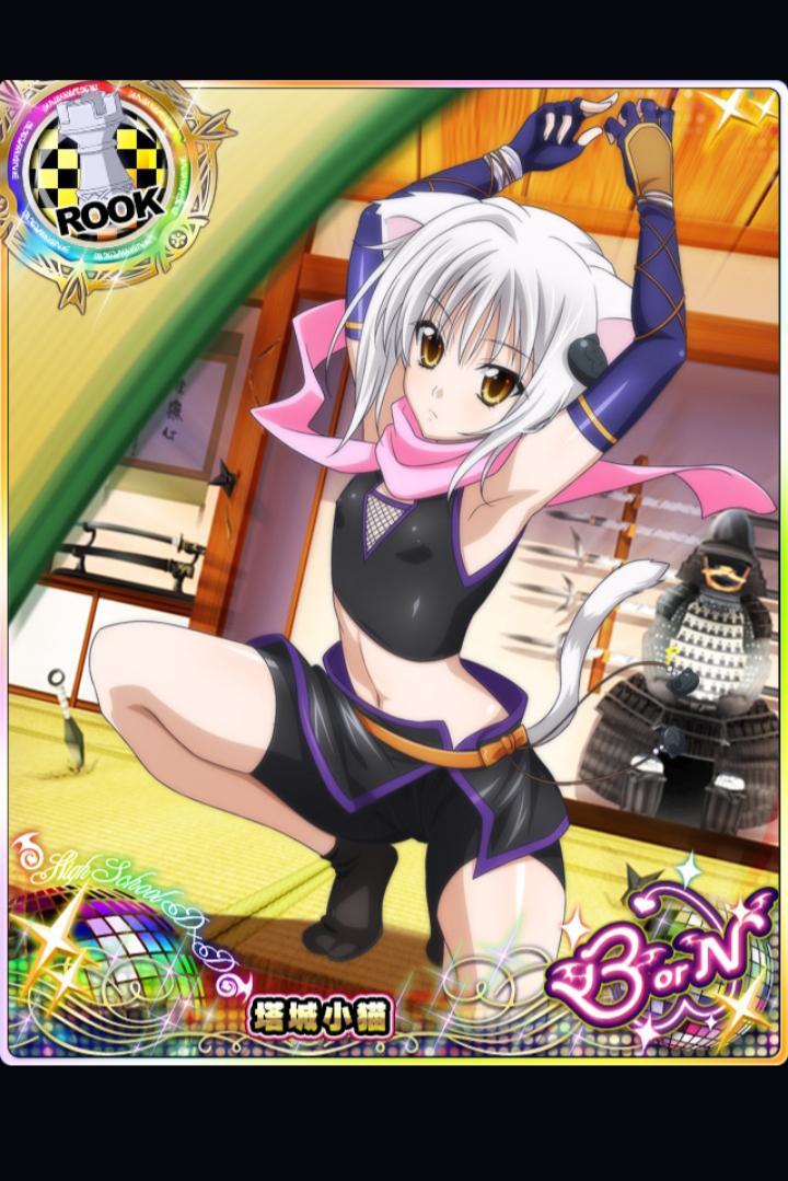 Day #9- Ninja Kitty | Scrolller