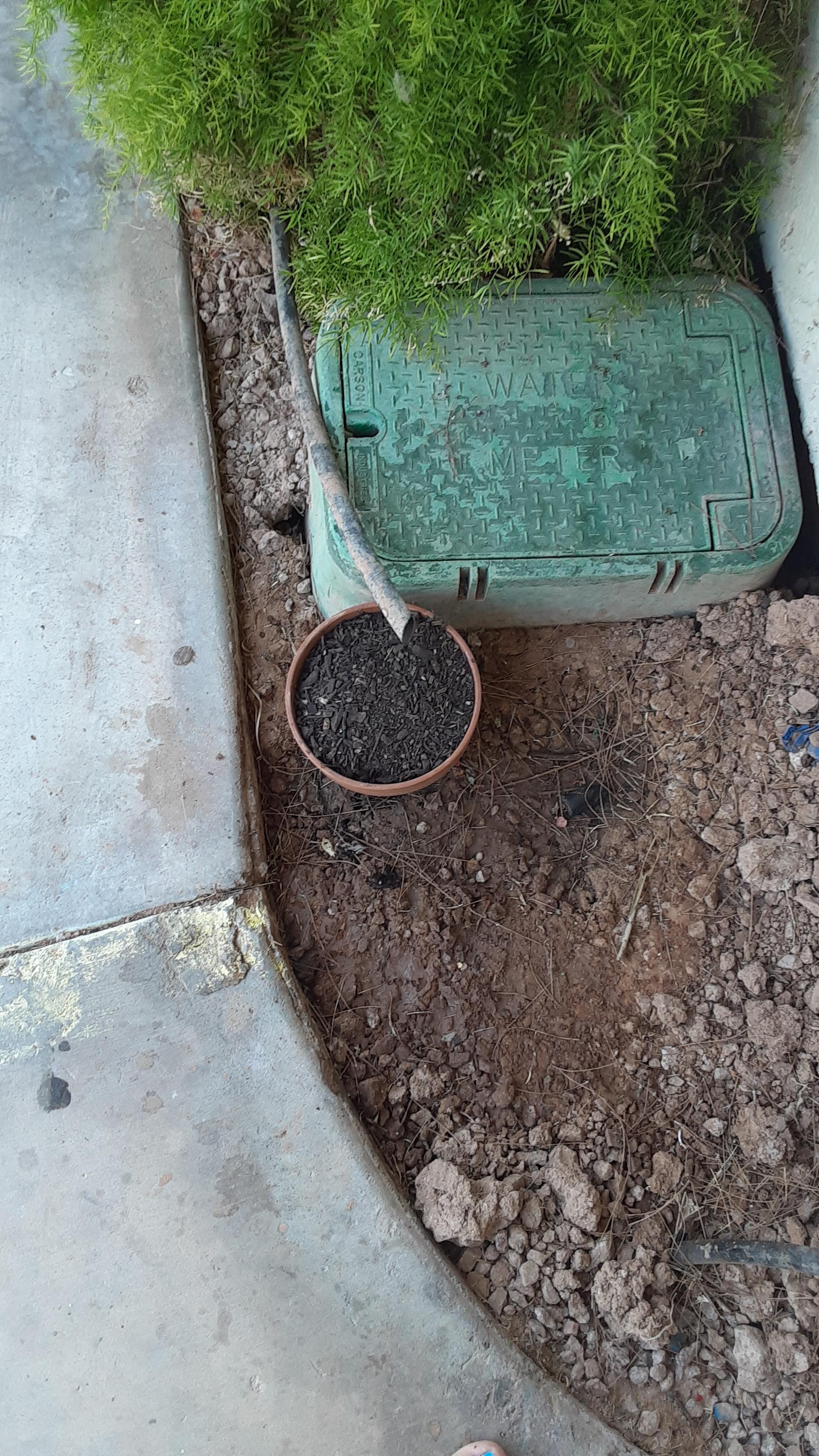 Day one with mystery seeds | Scrolller