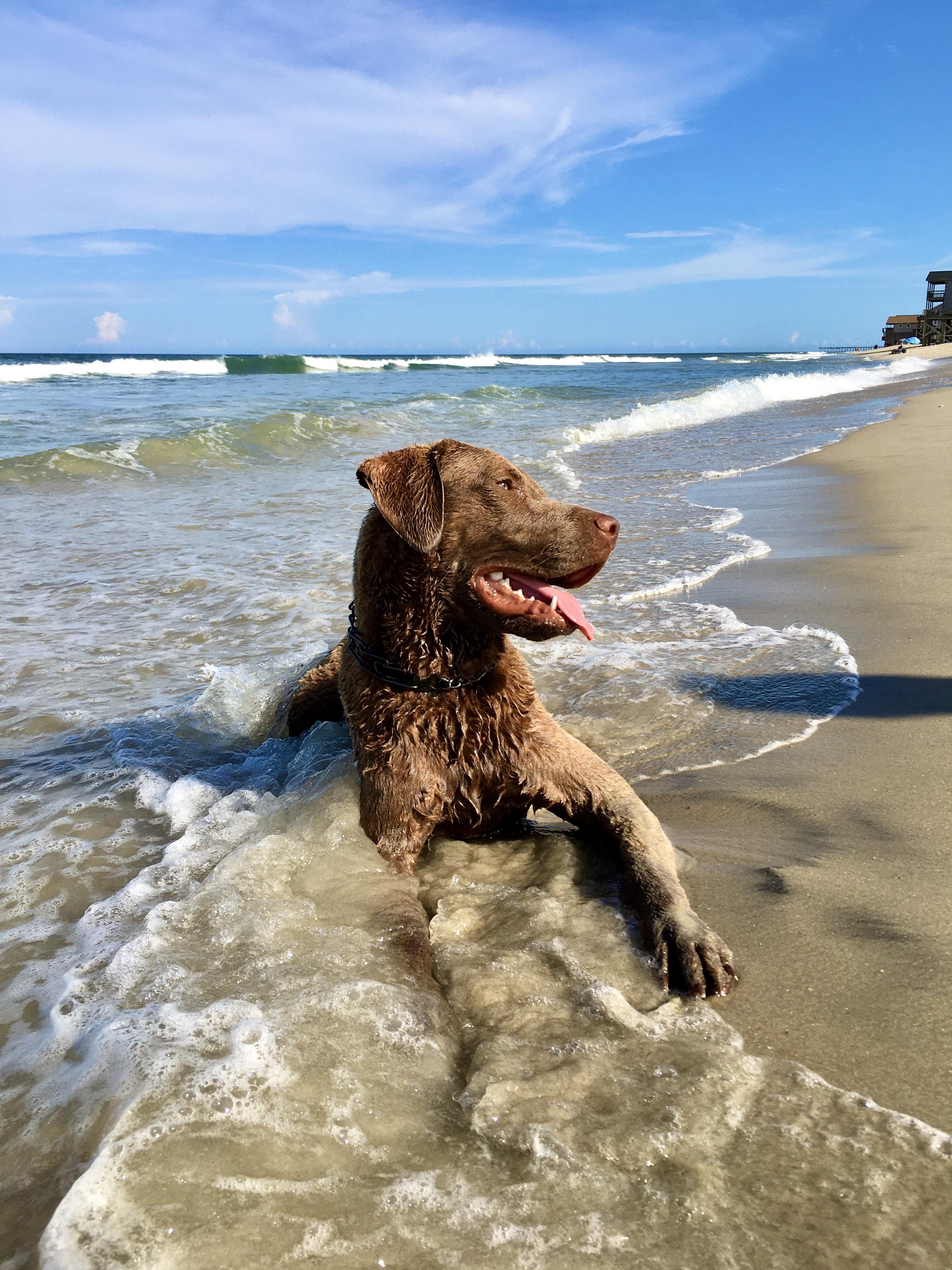 Days in Rodanthe | Scrolller