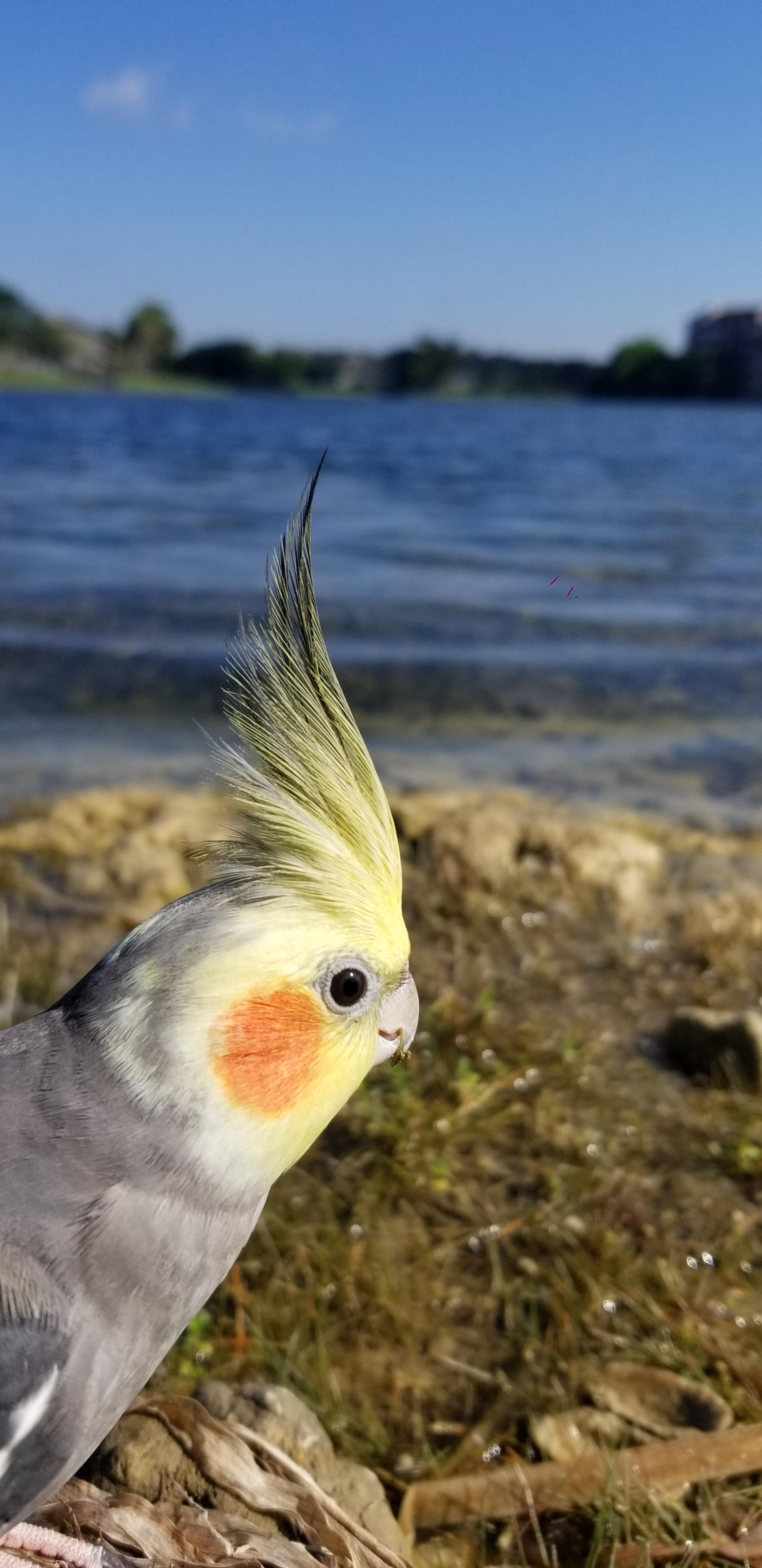 Decided to get some sunlight today | Scrolller