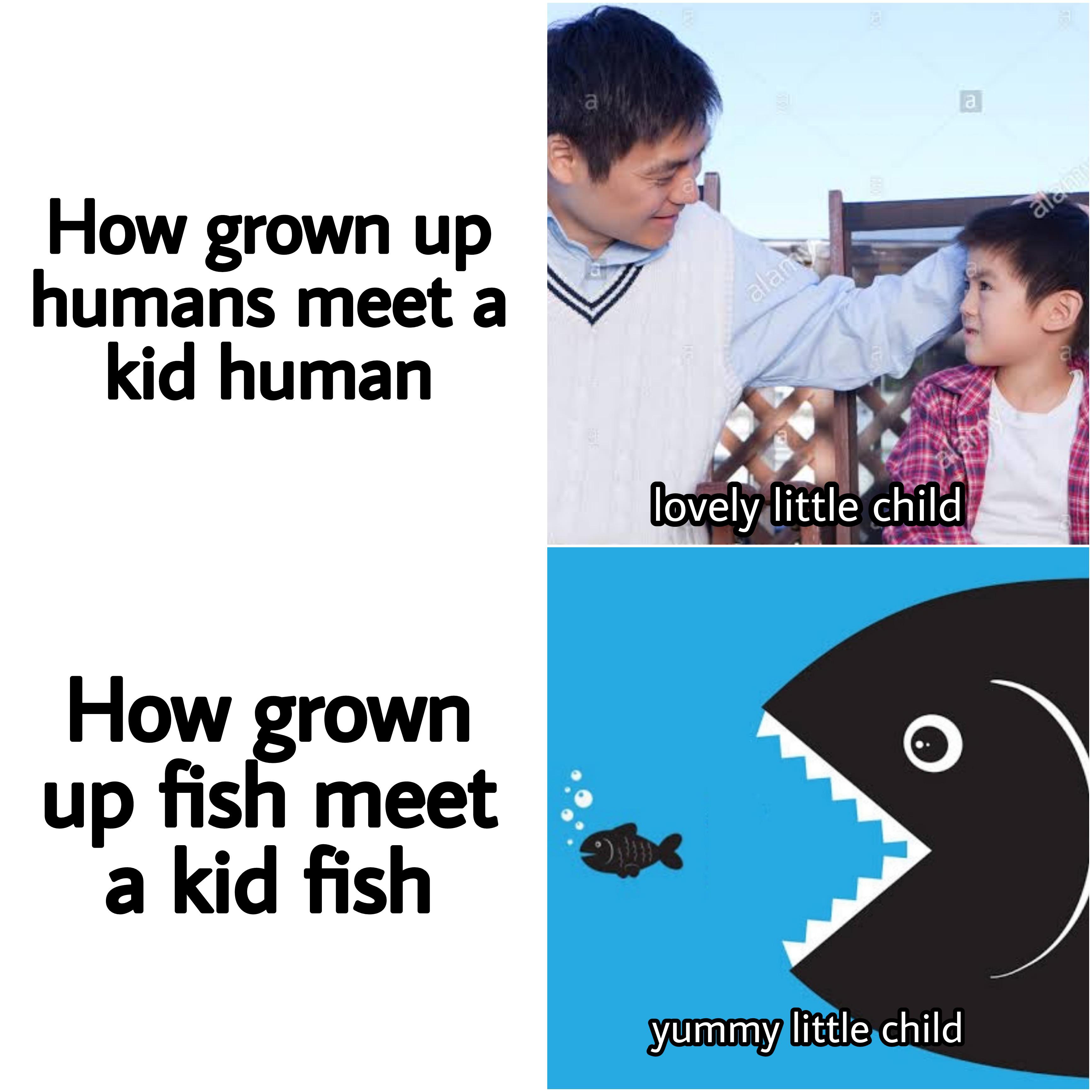 delicious Dory | Scrolller