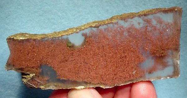 Dendritic native copper encased in transparent gypsum [600×315] | Scrolller