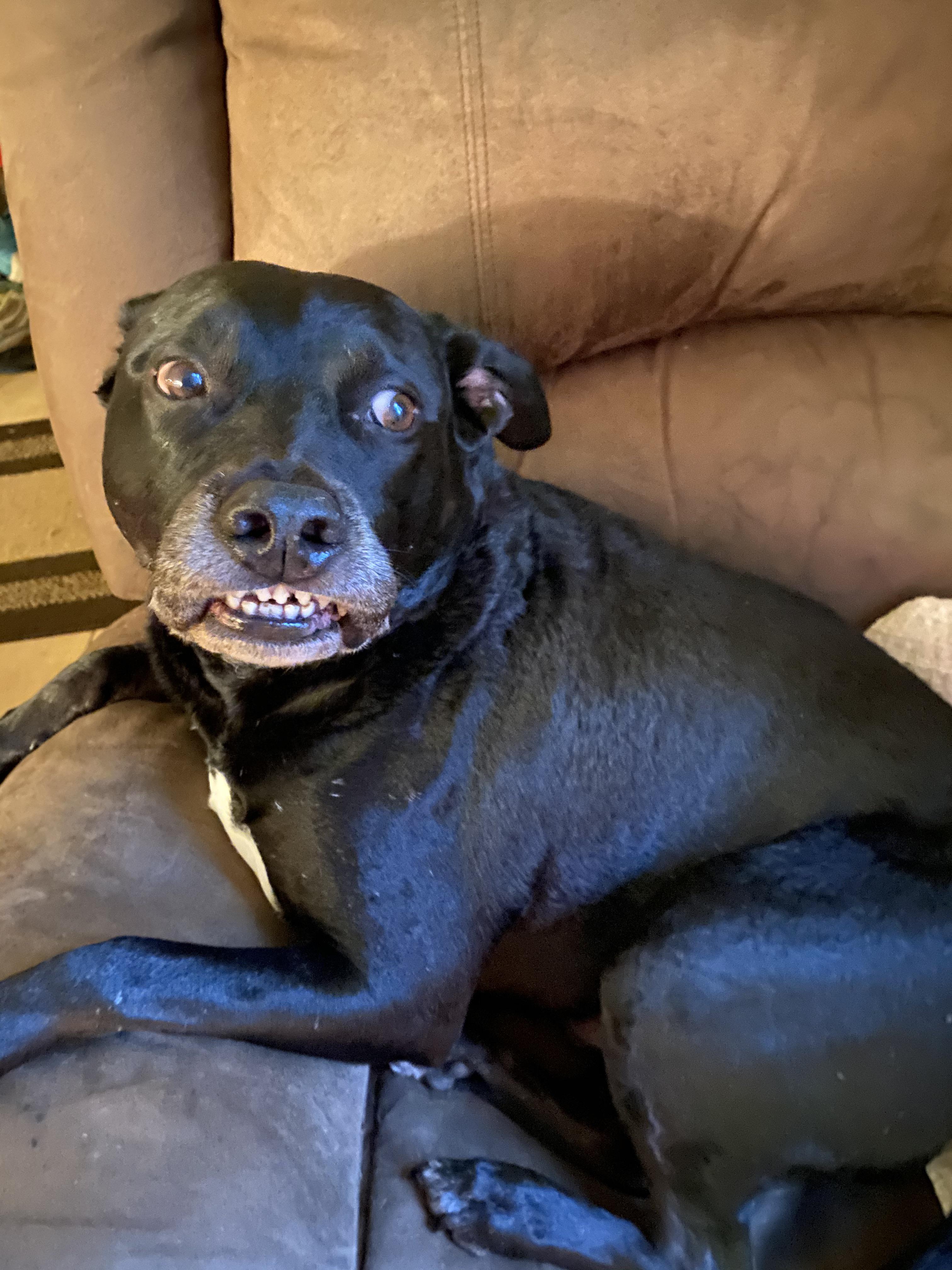 Derp face side eyeing the storm. | Scrolller