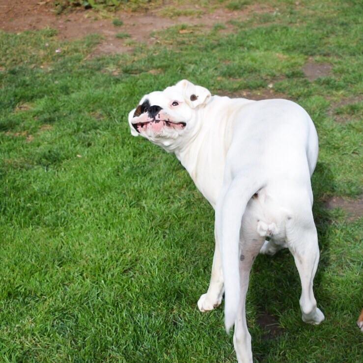 Derpy girl | Scrolller