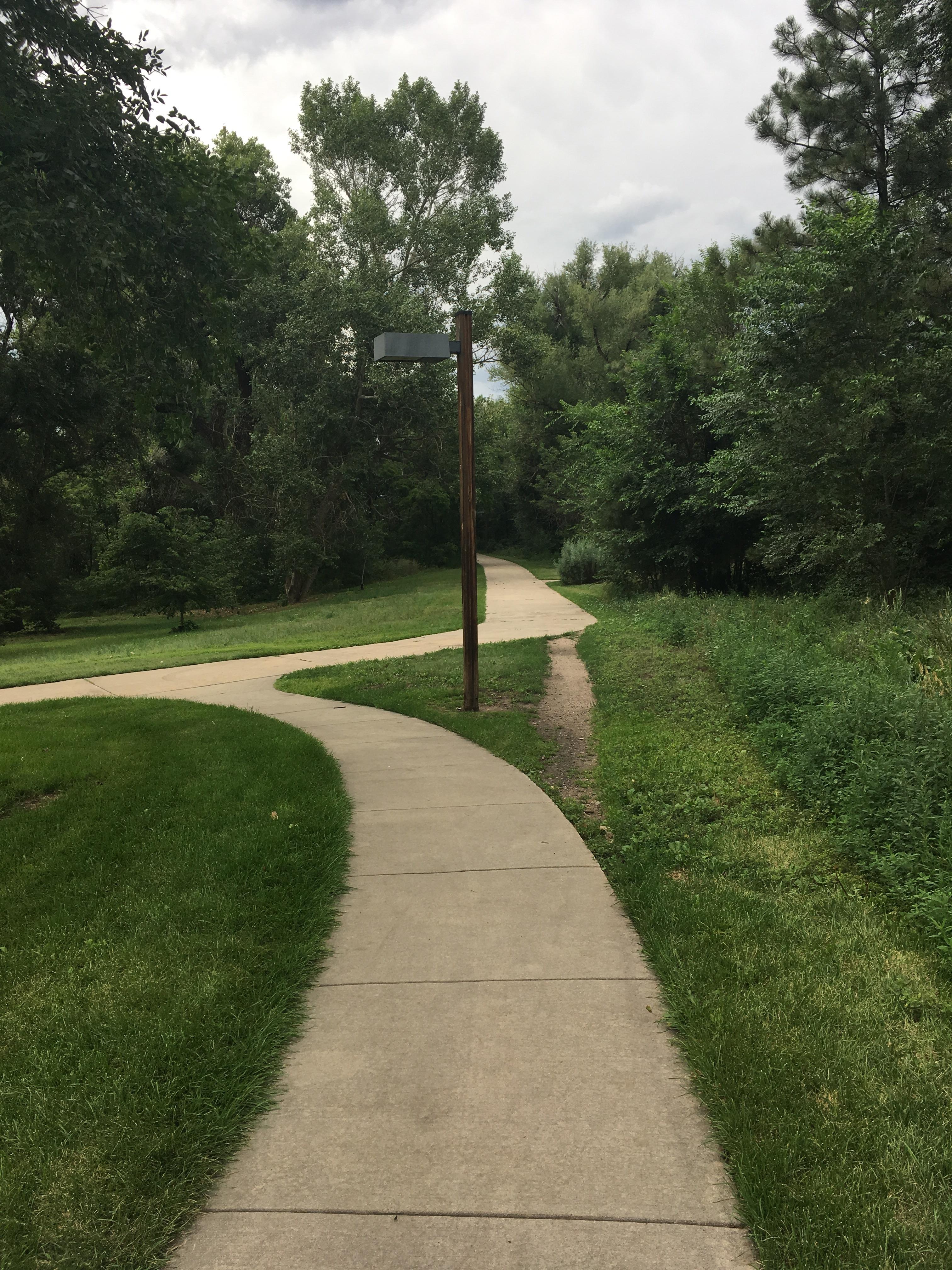 Desire path at the park | Scrolller