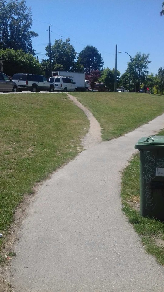 Desire path linking high and low ground | Scrolller