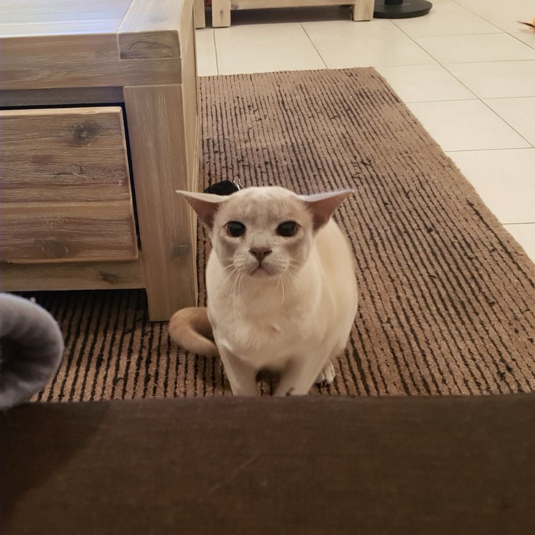 Destination: couch | Scrolller