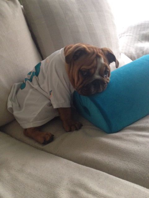 Deuce is shy | Scrolller