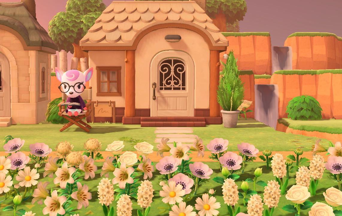 Diana enjoying her book during the spring evening by the flower field | Scrolller