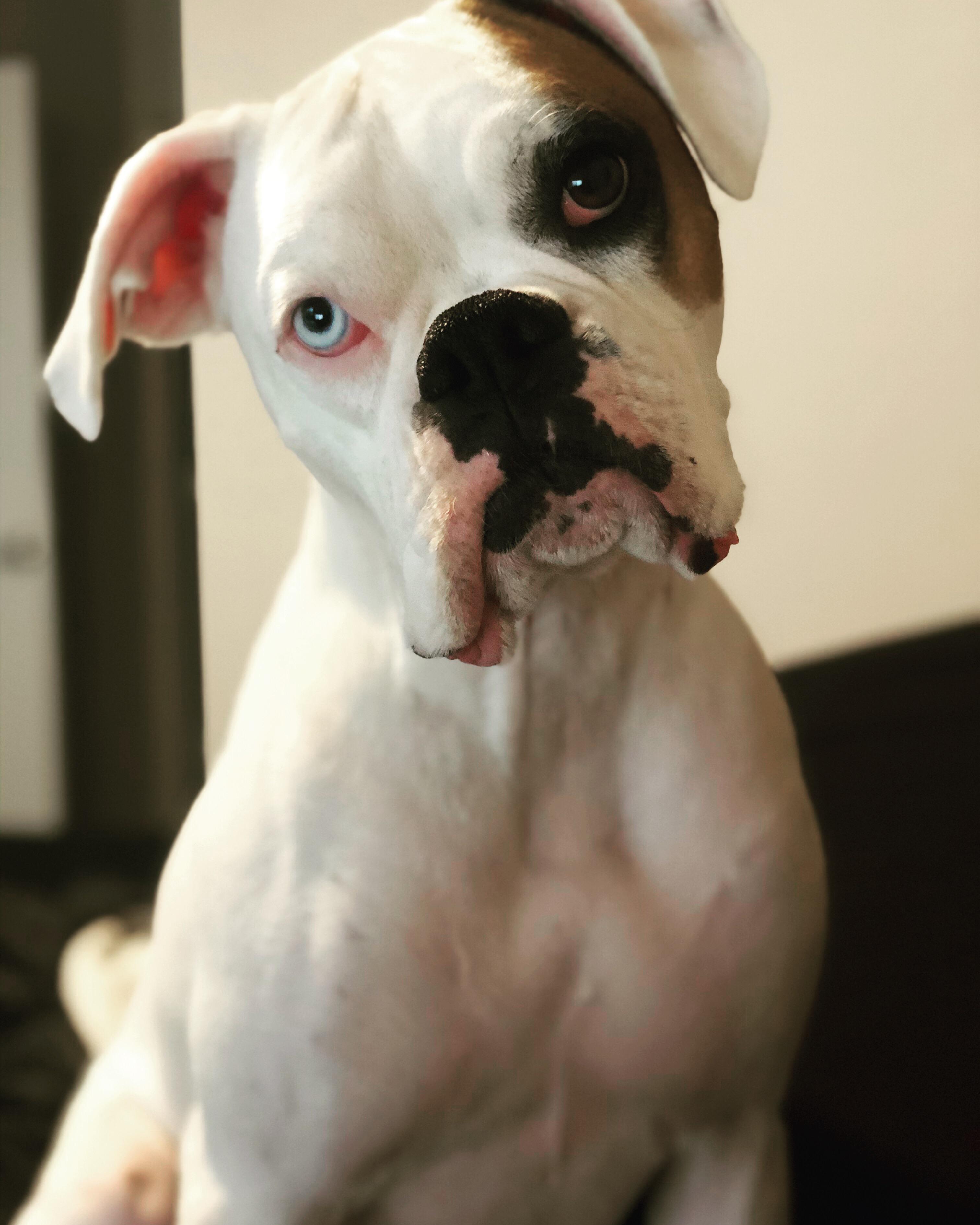 Did you say something? | Scrolller