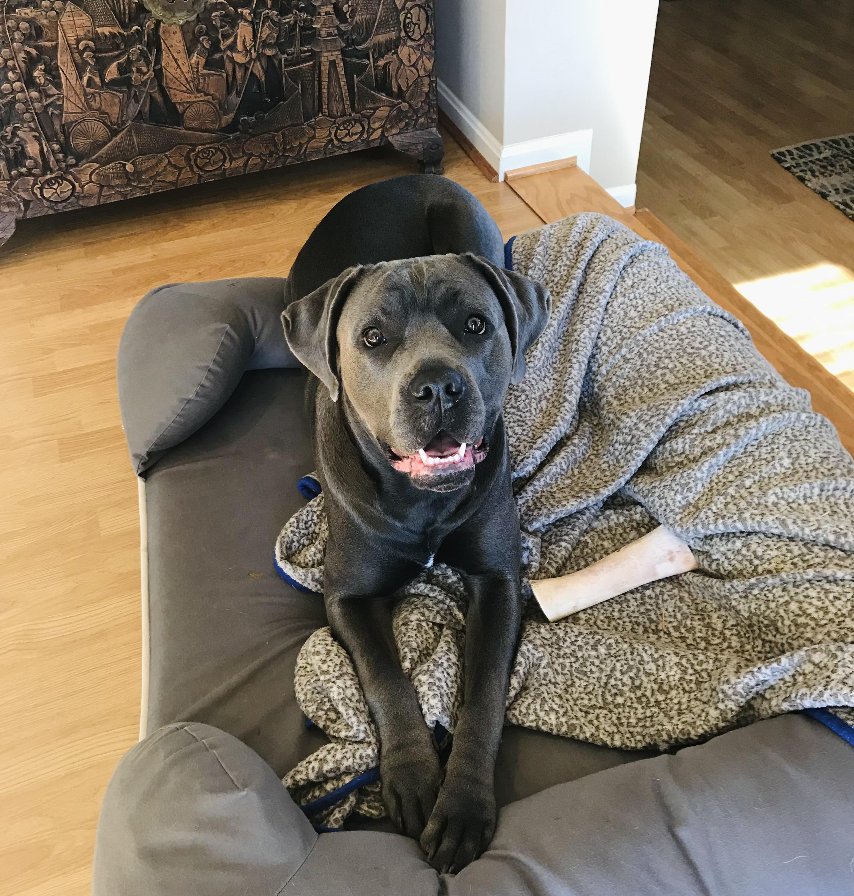 Did you say walk?? | Scrolller